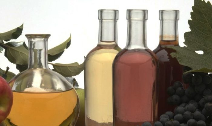 L’aceto: da conservante ad alimento funzionale – Istituto Prosa